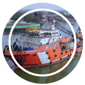 Fleet – Micoperi